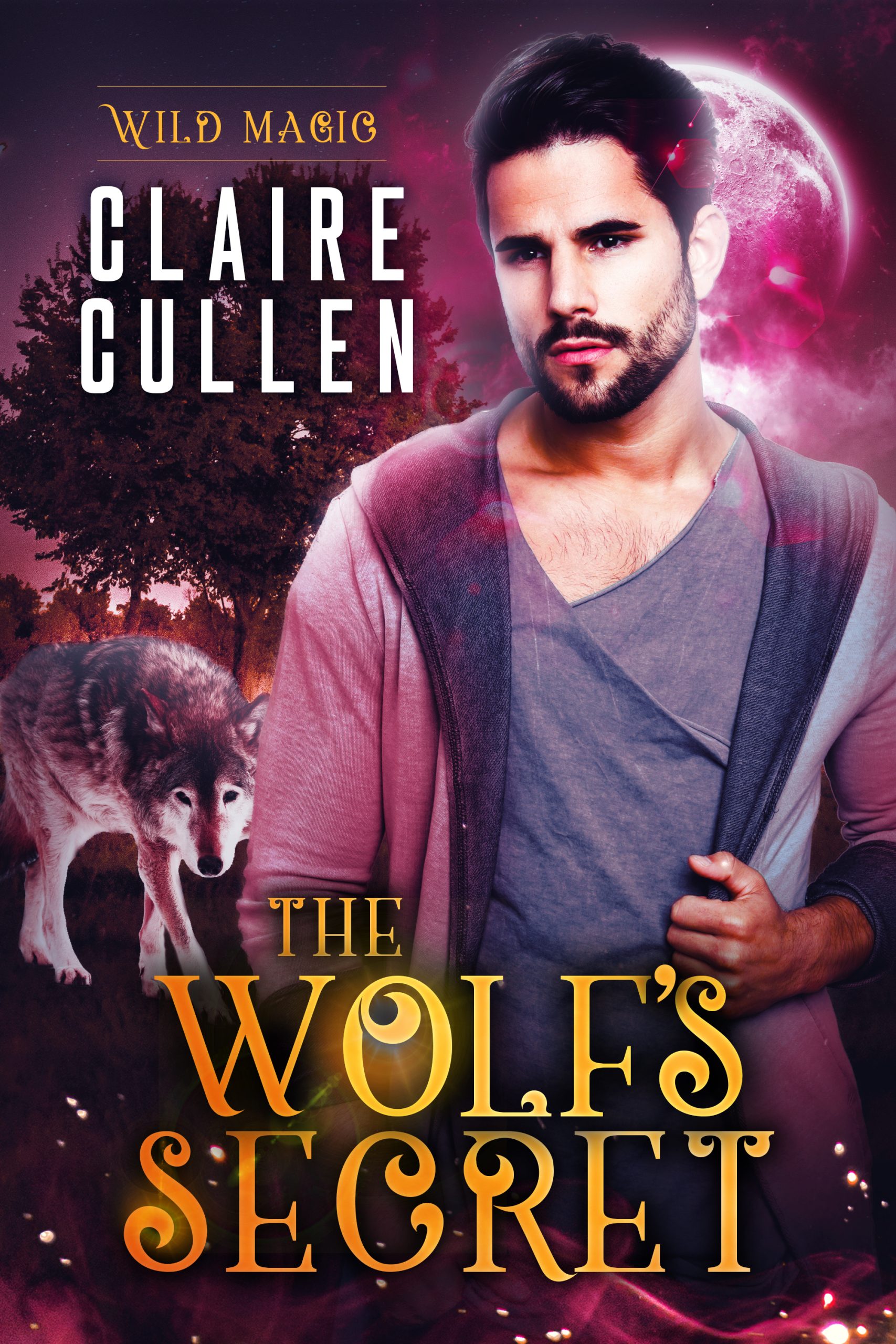 The Wolf’s Secret – Claire Cullen Books